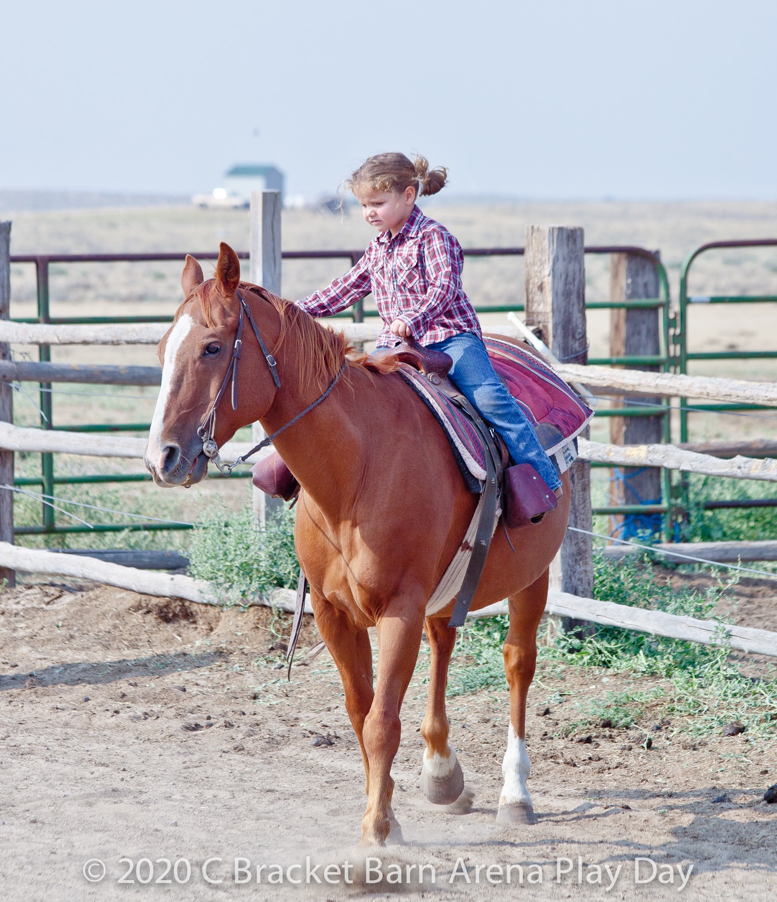 Day Camps - C Bracket Horse Barn